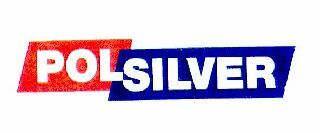 Polsilver golarki 2-ostrzowe 48 szt. - Max Drogeria.pl